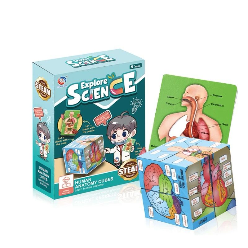 Human Anatomy Cubes - Interactive STEM Learning for Kids – Hands-On ...