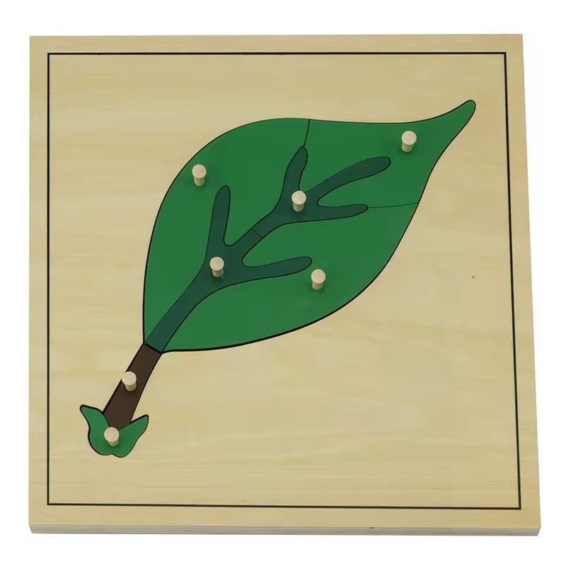 Montessori Botany - Leaf Puzzle with Wooden Knobs – Hands-On Montessori ...