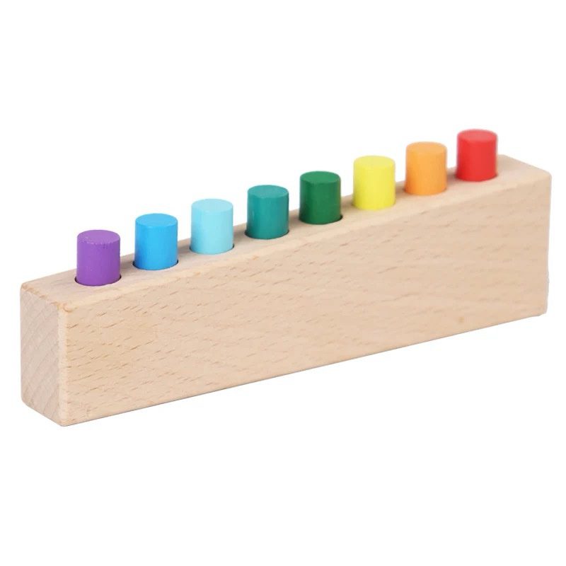 Mini Pegs Sorting – Montessori Color Matching and Size Gradation Toy f ...