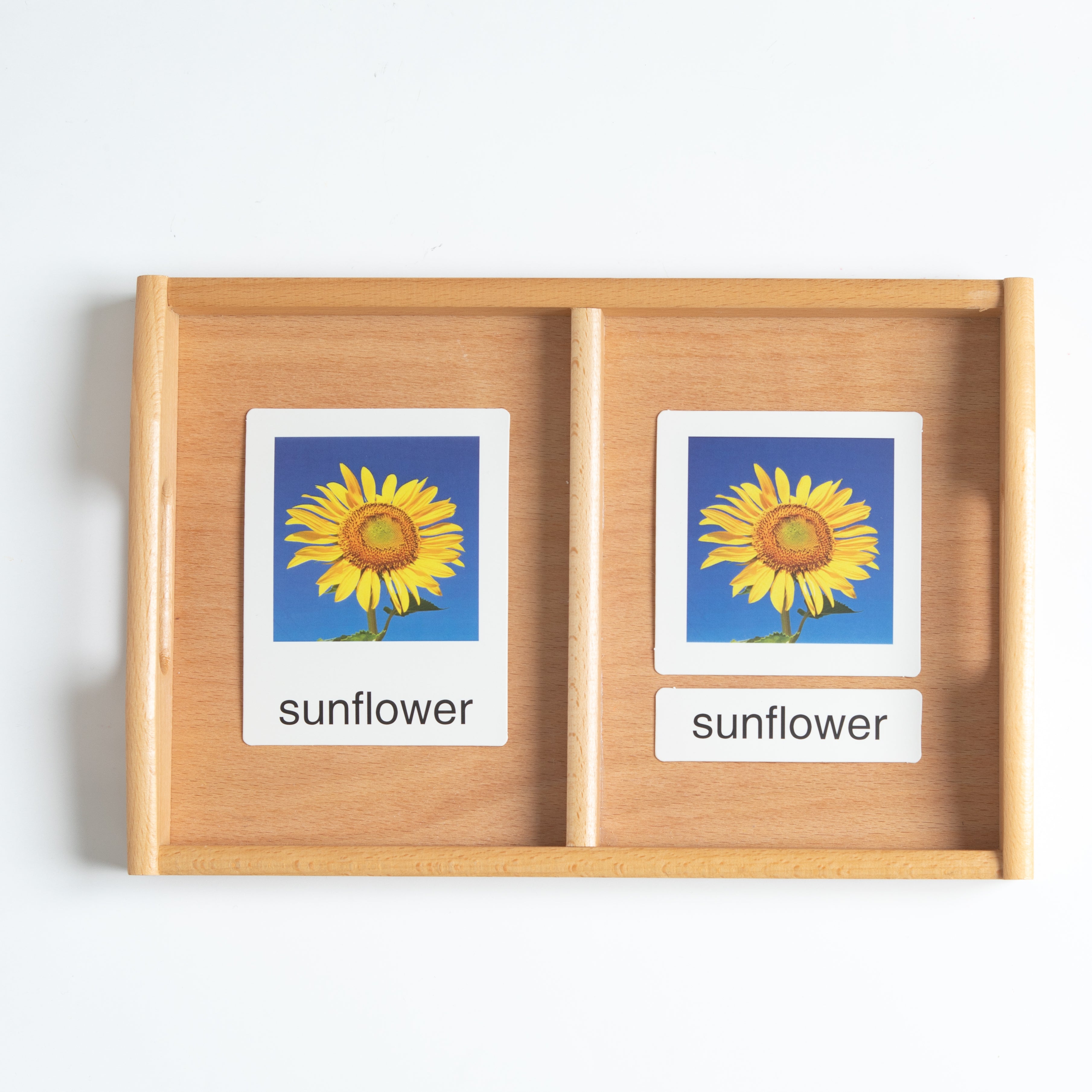 Hands-On Montessori Store