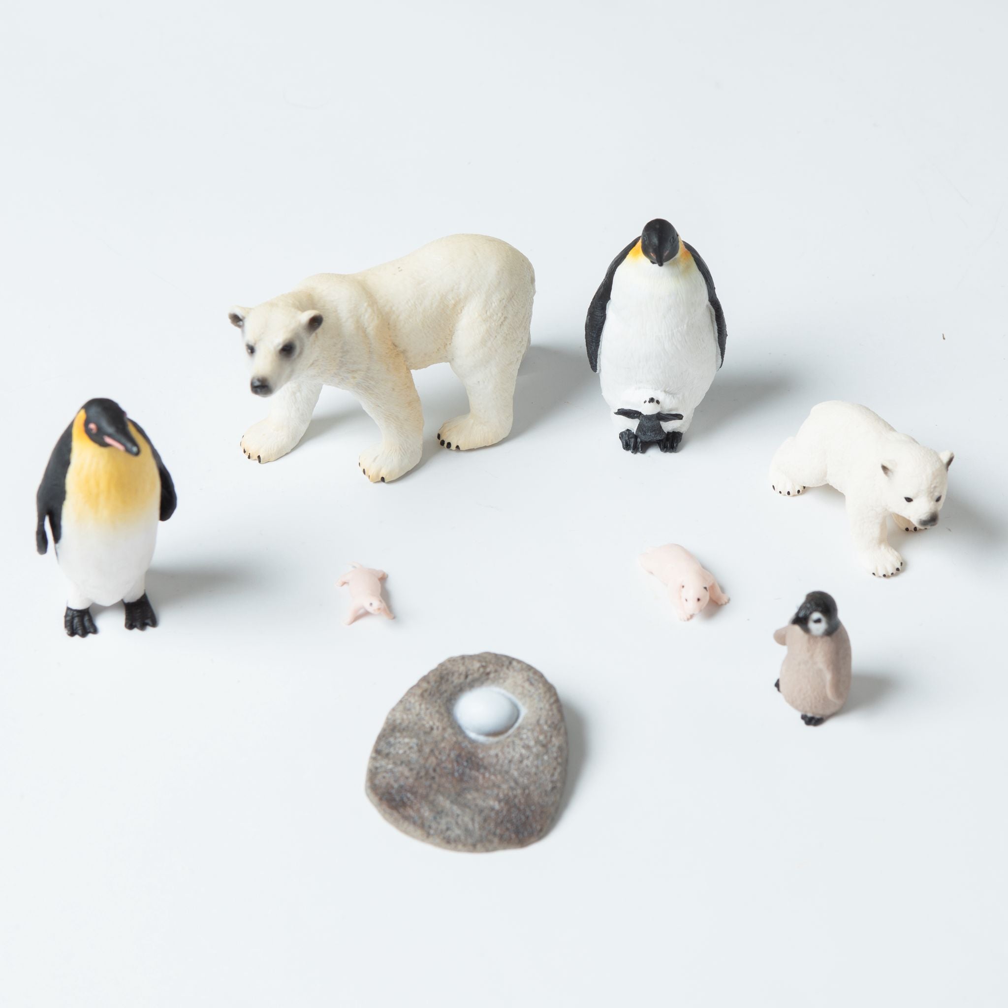 Montessori Arctic Animals Lifecycle Set Penguin and Polar Bear – Hands ...