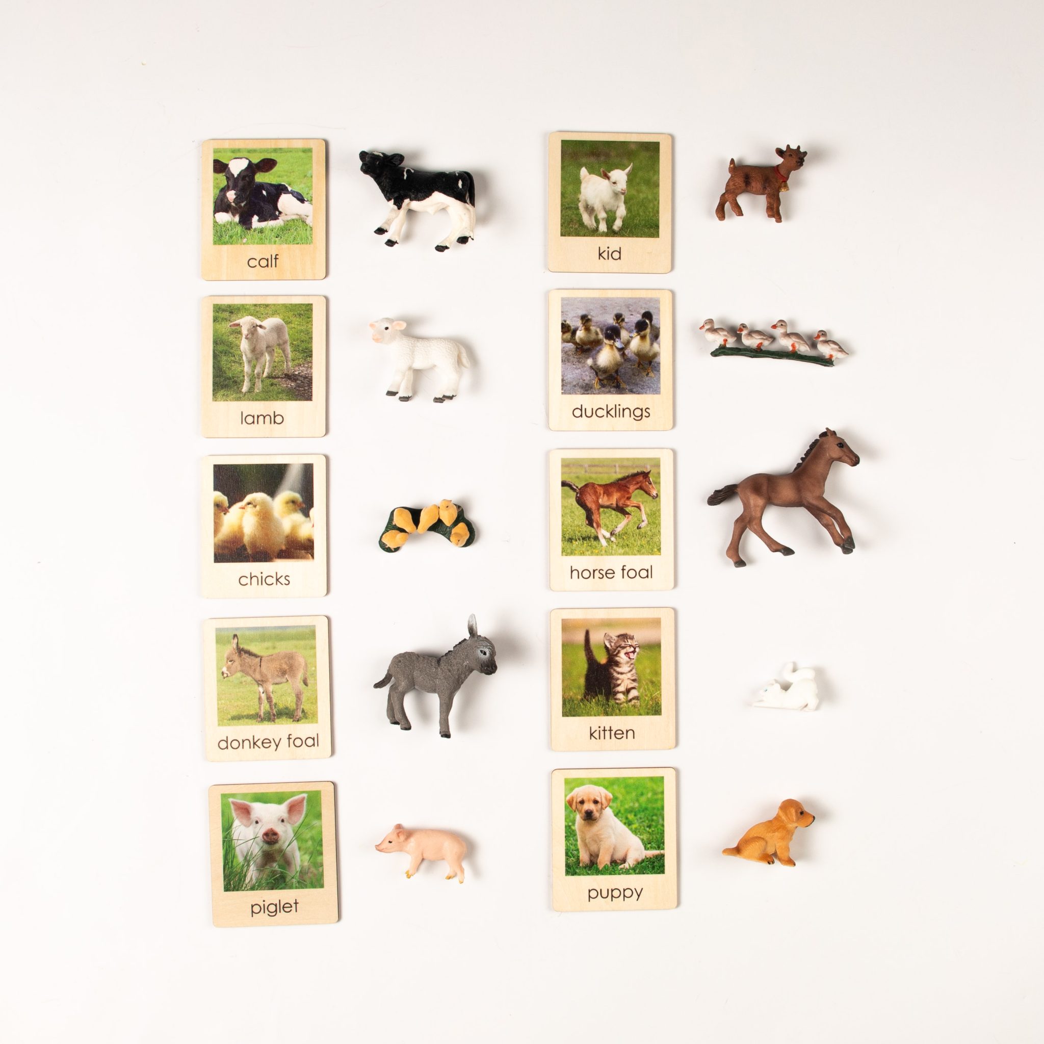 Montessori Baby Farm Animals Classification Set - Zoology Animal Sorti ...