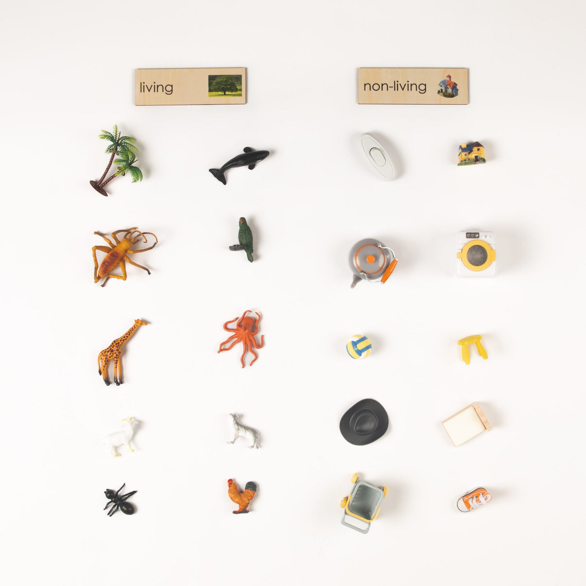 Montessori Living and Non-Living Classification Set - Zoology Animal S ...