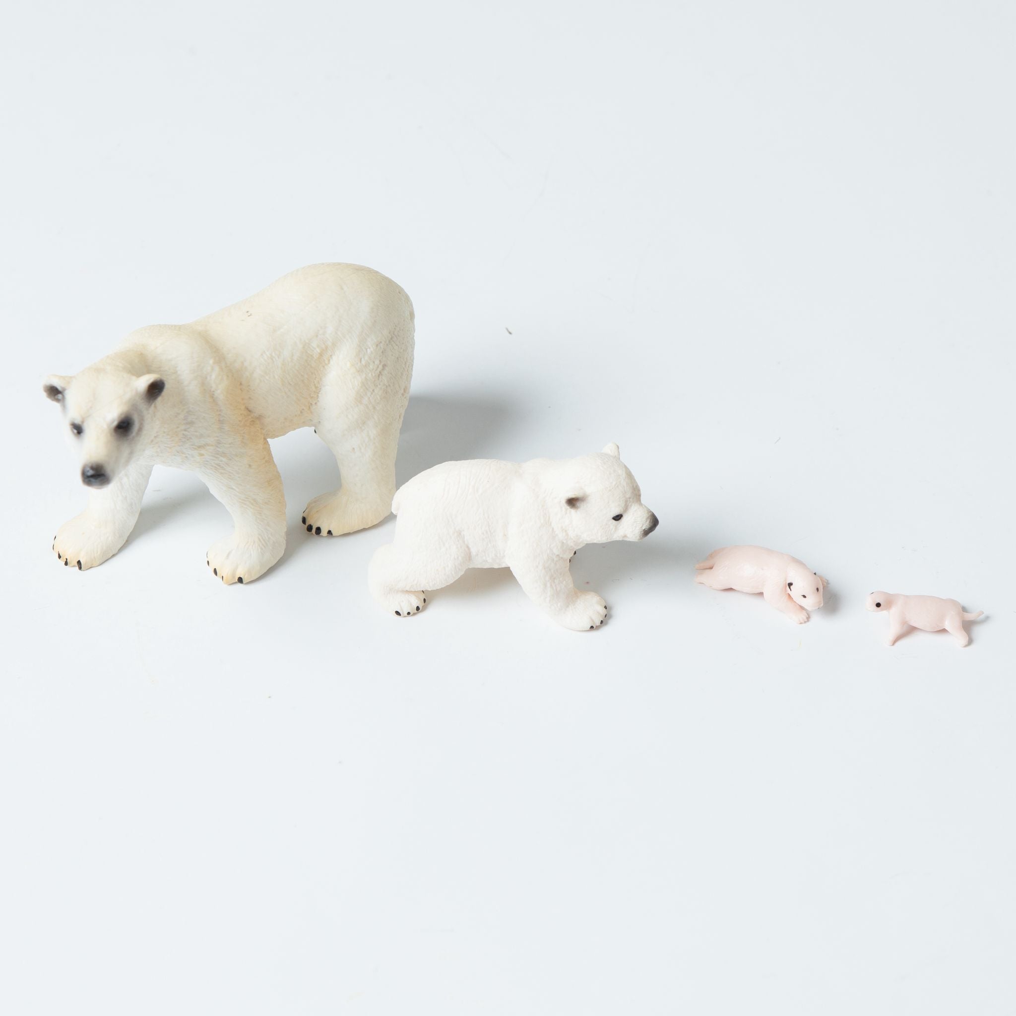 Montessori Arctic Animals Lifecycle Set Penguin and Polar Bear – Hands ...