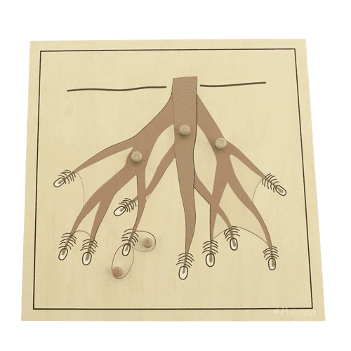 Montessori Botany - Root Puzzle with Wooden Knobs – Hands-On Montessori ...
